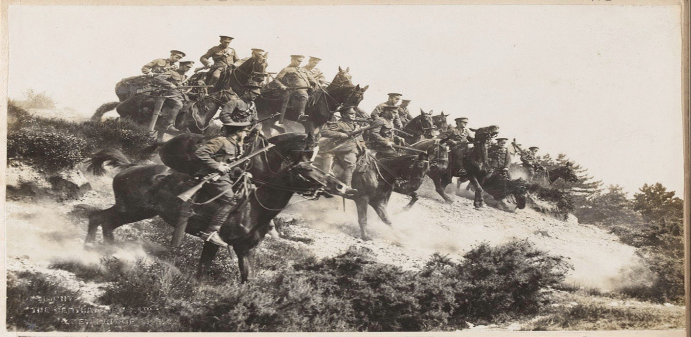 How have the roles of military animals within the British Army changed ...