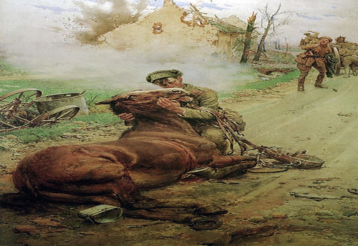 How have the roles of military animals within the British Army changed ...