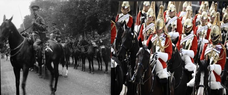 How have the roles of military animals within the British Army changed ...