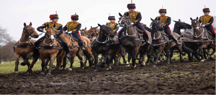 How have the roles of military animals within the British Army changed ...