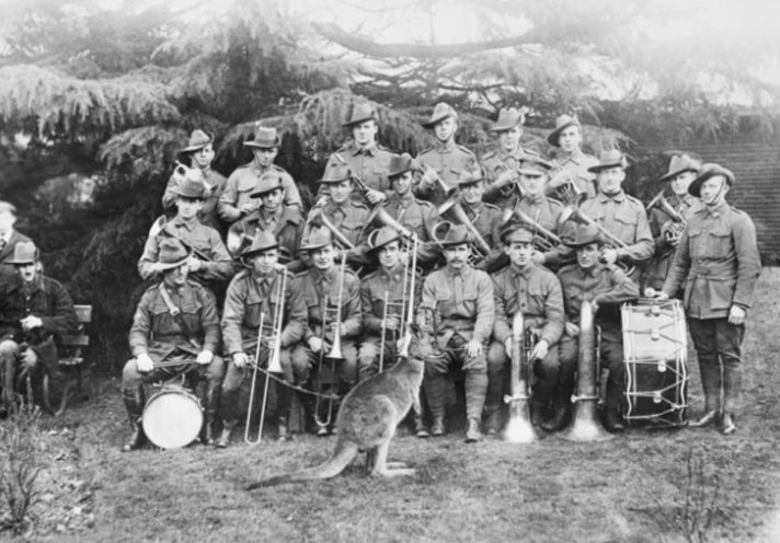 How have the roles of military animals within the British Army changed ...