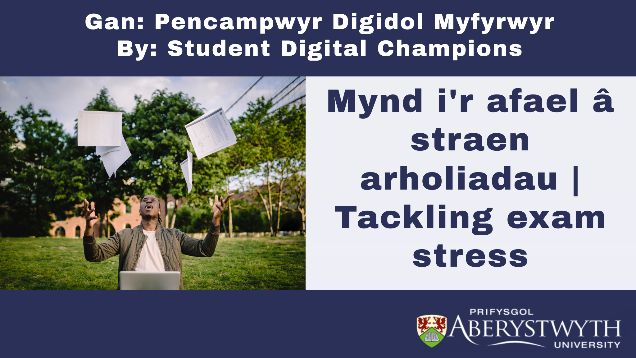 LinkedIn Learning Collections to support students preparing for their ...